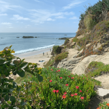 Alliance Recovery | Drug & Alcohol Rehab Centers