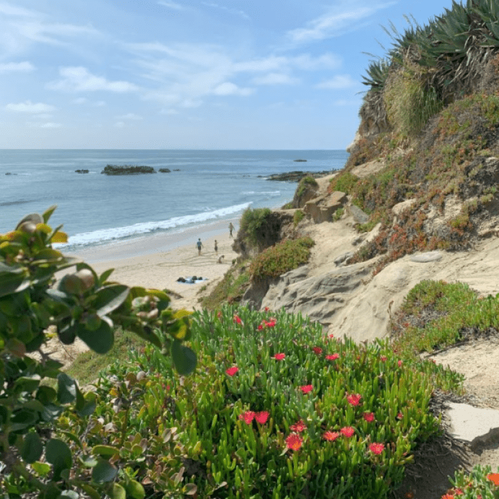 Alliance Recovery | Drug & Alcohol Rehab Centers